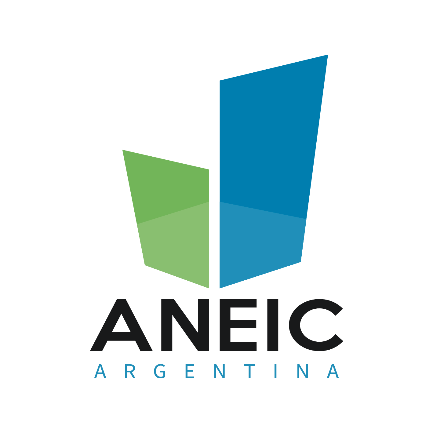 CYPE BIM ANEIC Argentina